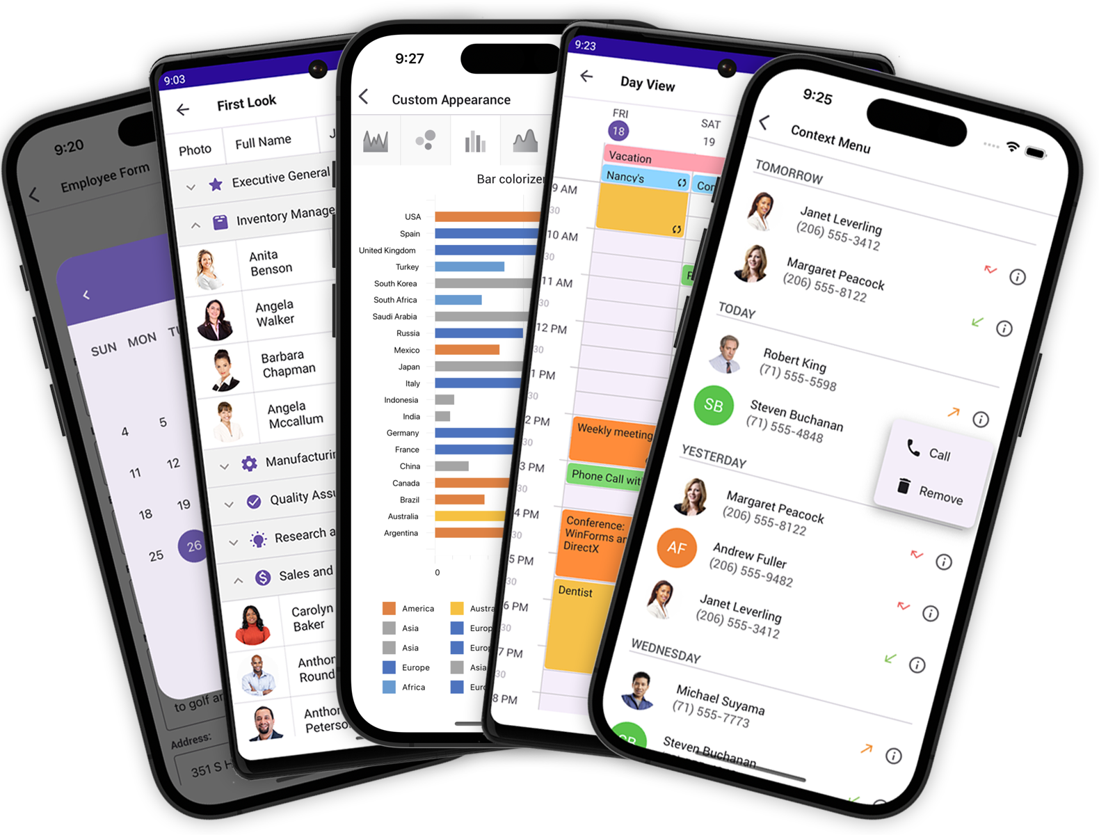 Devexpress XAF Developers Nearshore Outsourcing Service
